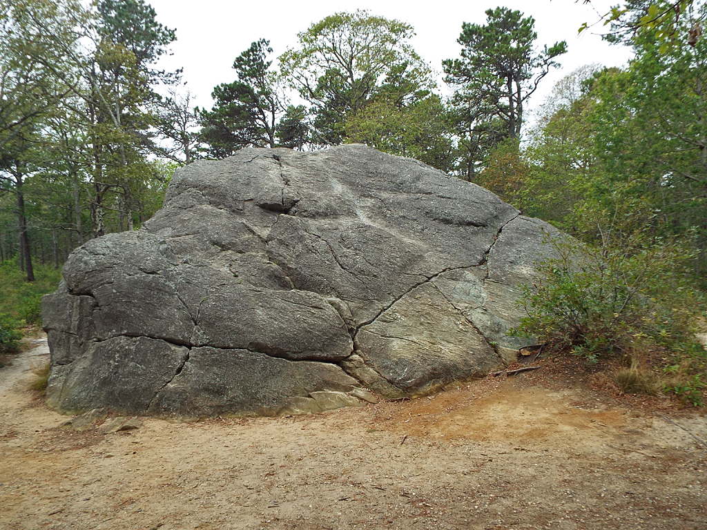 Good Ol’ New England: Cape Cod Adventure – Lonely Birder